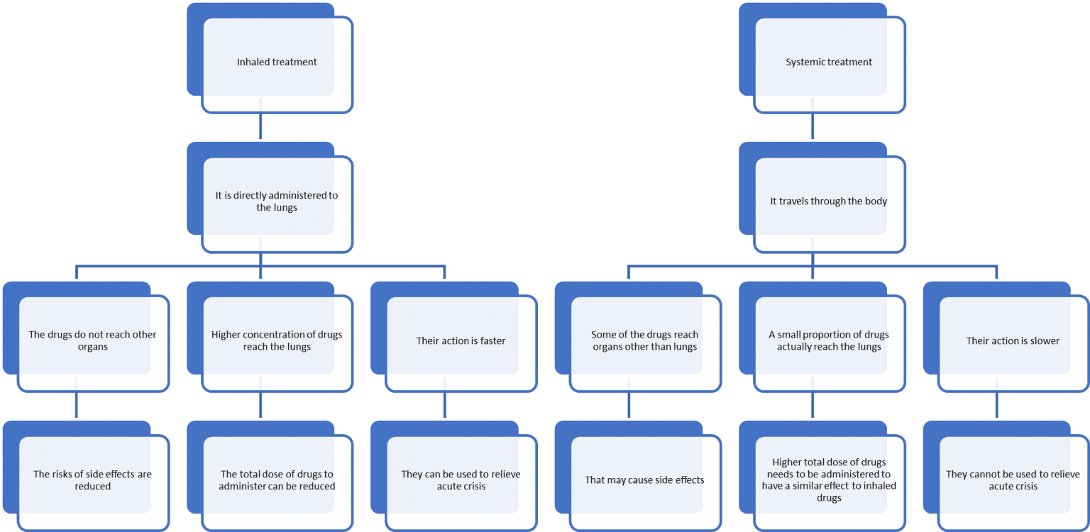 Systemic and inhaled treatments : the differences - AnimHal